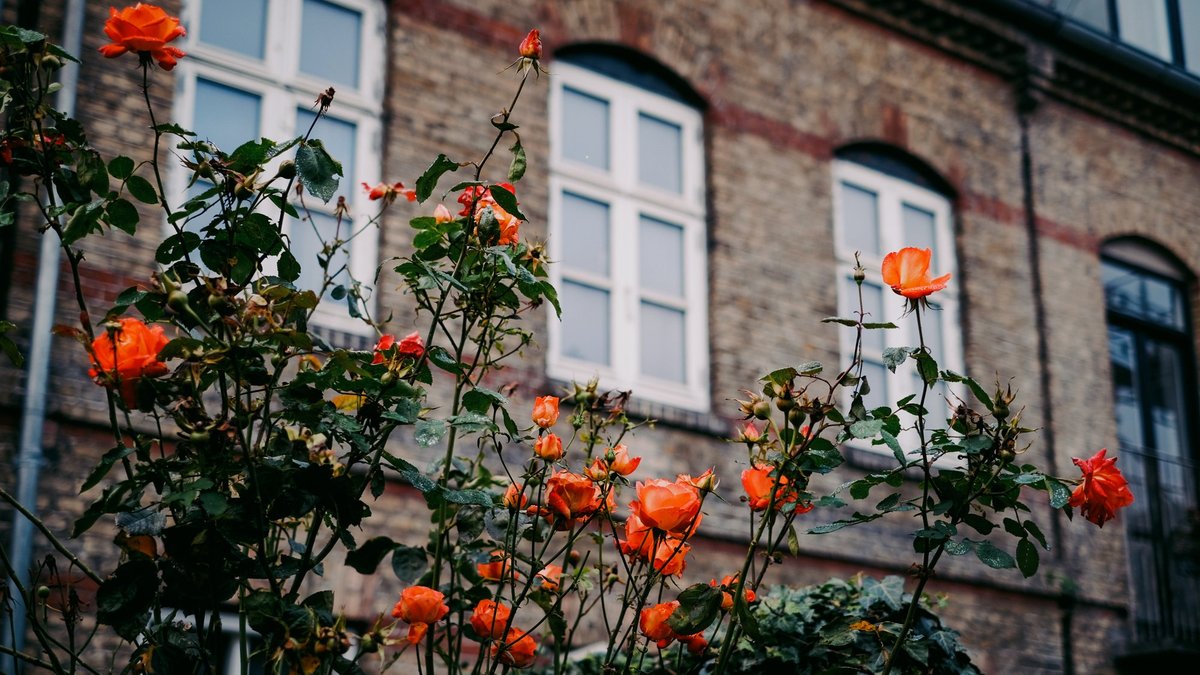 Синоптики: в четверг в Латвии ожидается теплый день, воздух прогреется ...