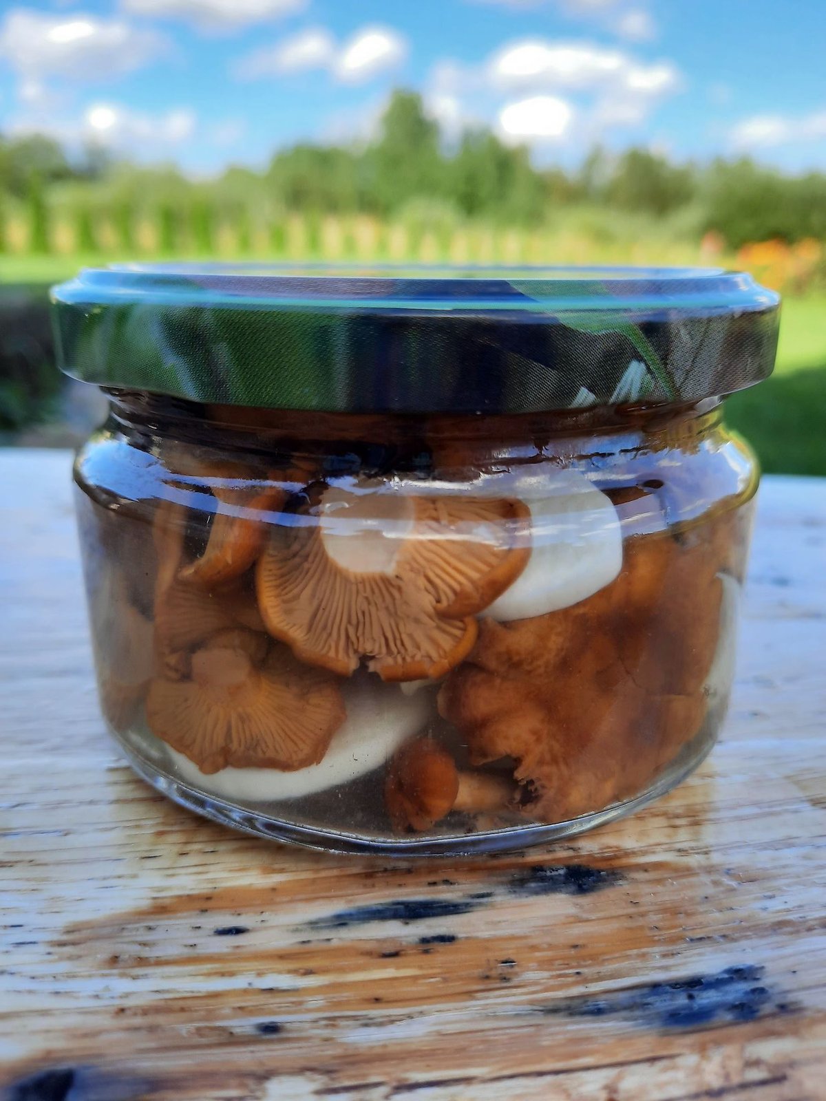 Marinētas gailenes ziemai