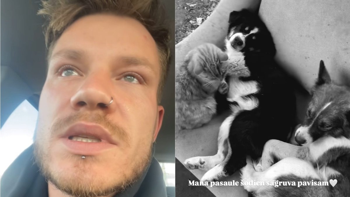 "Modra olu" saimniekam nošauj suņus; VP sāk kriminālprocesu (plkst. 11.47)