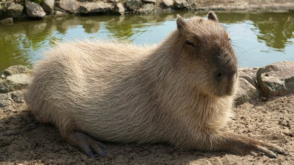 Laika ziņas — Delfi