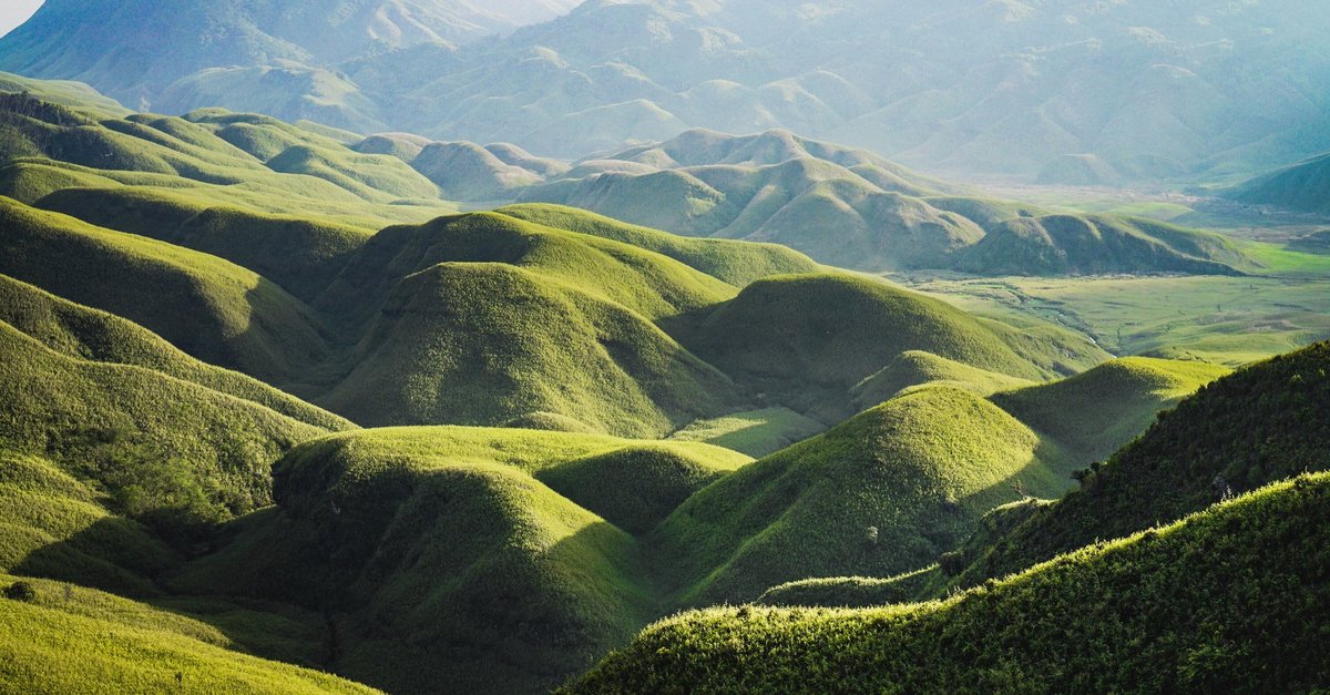 Zaļi kalni ar apaļām mugurām un neparastiem ziediem: gleznainā Džuko ieleja