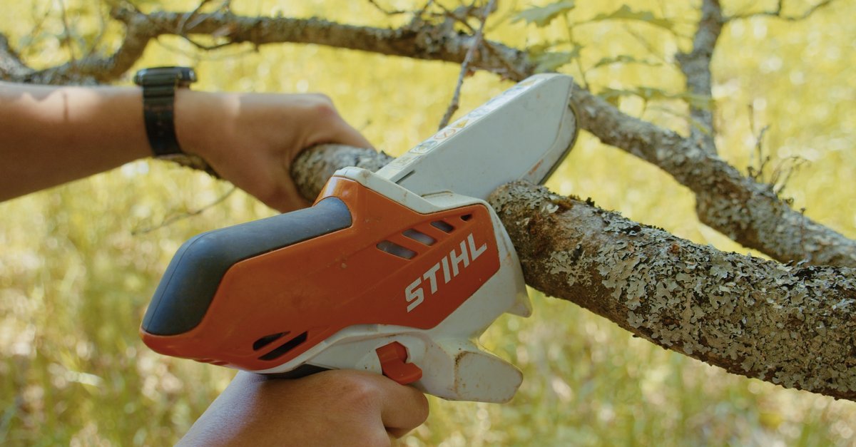 Noskaties! Kā prasmīgi nozāģēt lielos koku zarus?