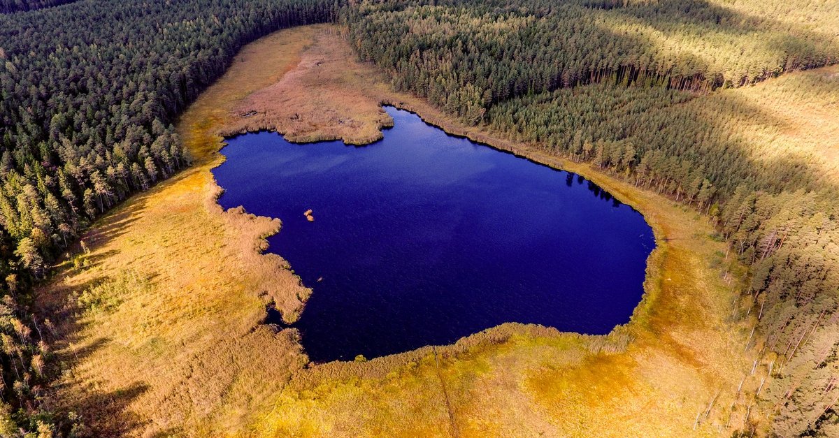 Dabas liegumā 'Lielie Kangari' tiek veidota pastaigu taka un skatu tornis