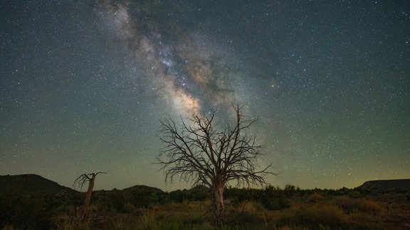 Zvaigžņu ceļā – kāds sīks Austrālijas naktstauriņš spēj ko apbrīnojamu