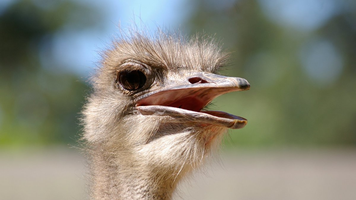 Trešdien debesis būs mākoņainas, vietām gaidāms lietus
