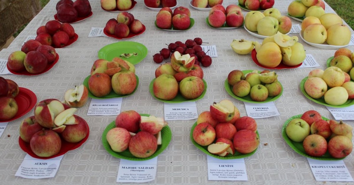 Ražas vākšana un ekspedīcijas: Likteņdārzā norisināsies tradicionālā ...