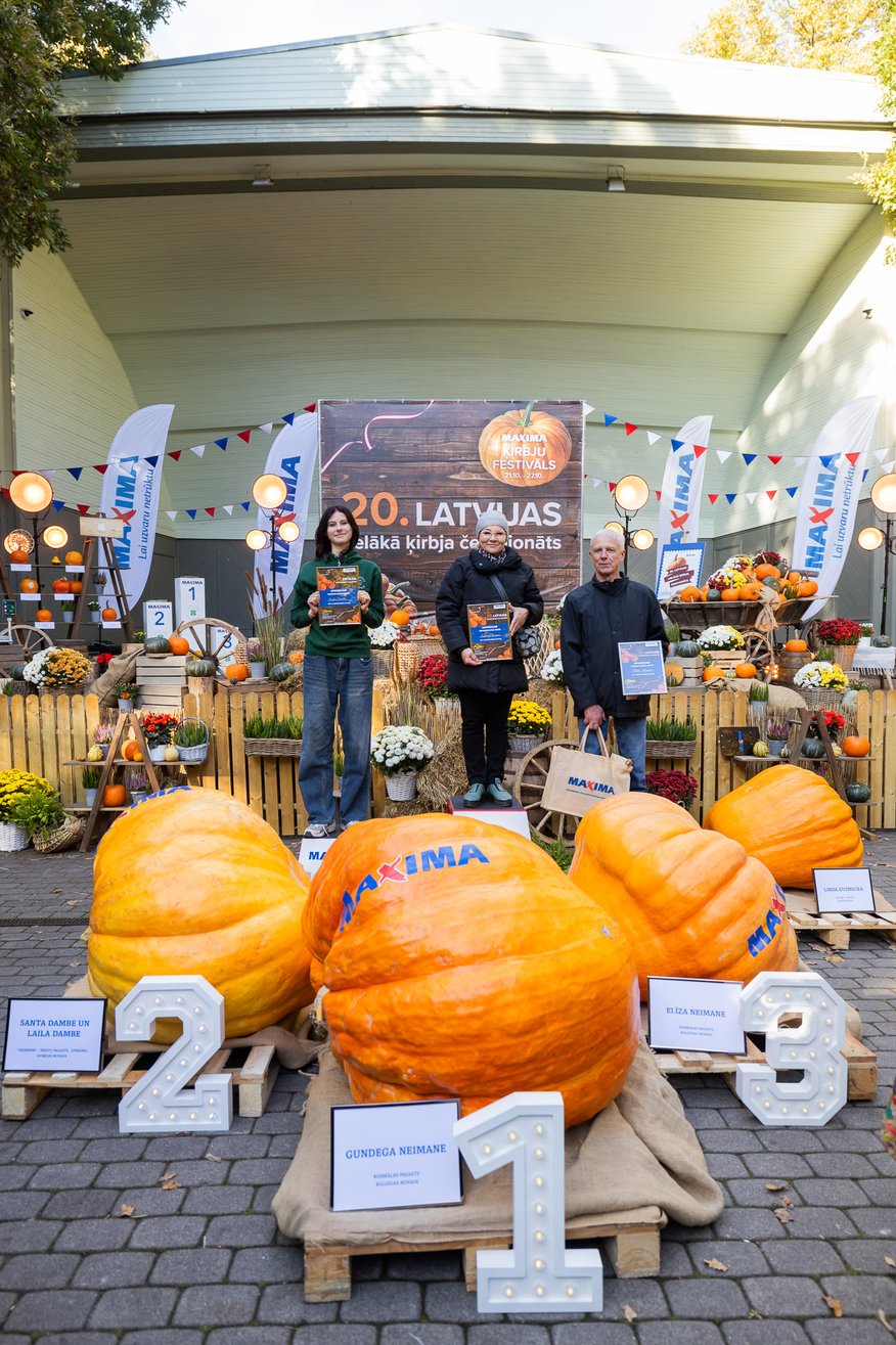 Foto: Noskaidrots šī gada Latvijas lielākais ķirbis – 295 kilogramus ...