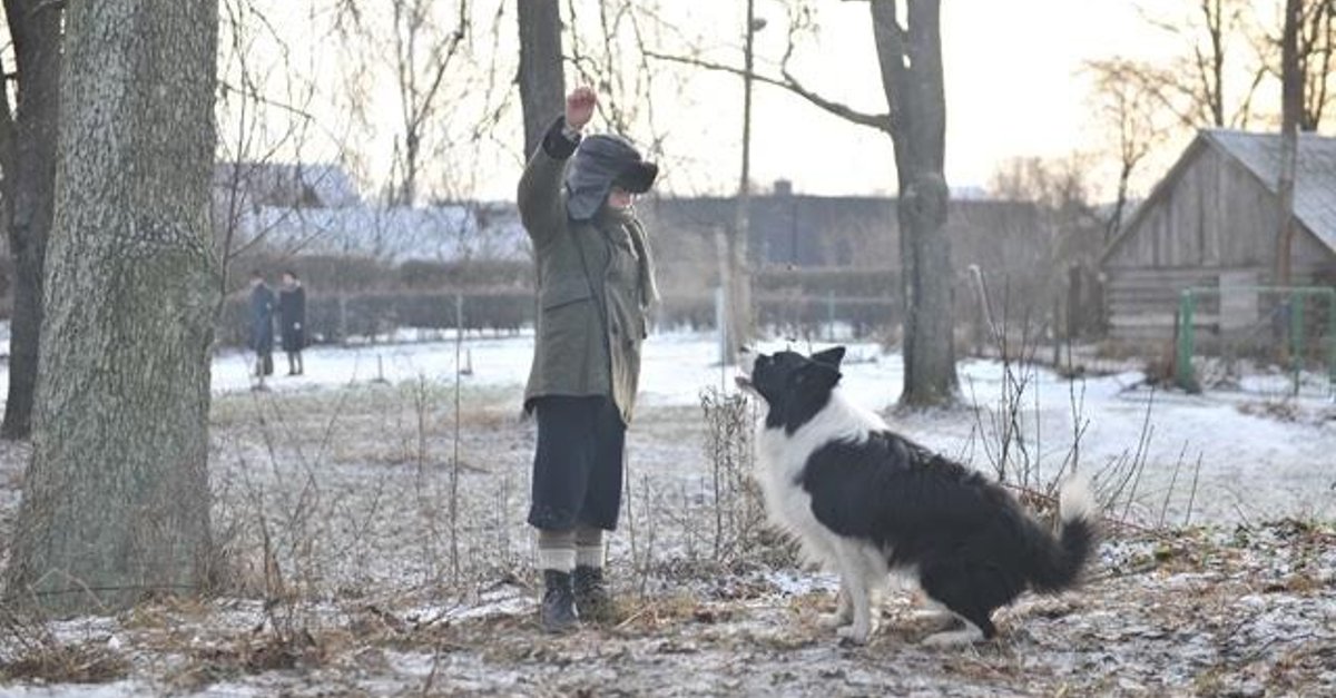 Filmas 'Puika ar suni' četrkājainais aktieris mājās gana papagaili un ...
