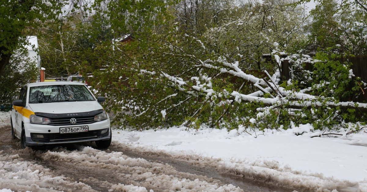 Sniega apokalipse Maskavas apgabalā - maijs atnācis ar grandiozu puteni