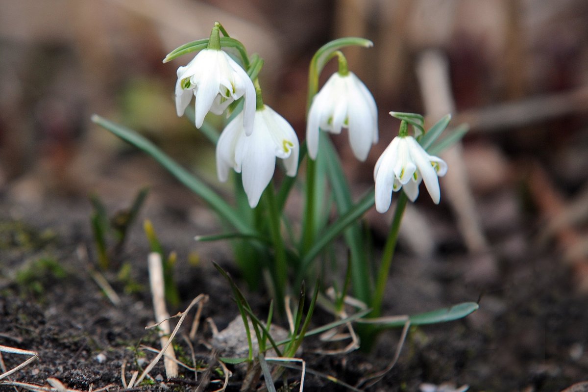 Piektdien debesis klās mākoņi, taču pēcpusdienā uzspīdēs saule