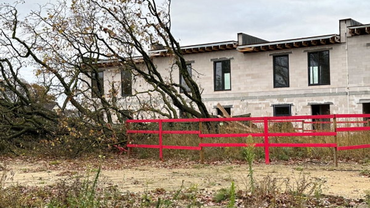 Par dižkoku iznīcināšanu tiesas piespriež bargus sodus, brīdina dabas sargi