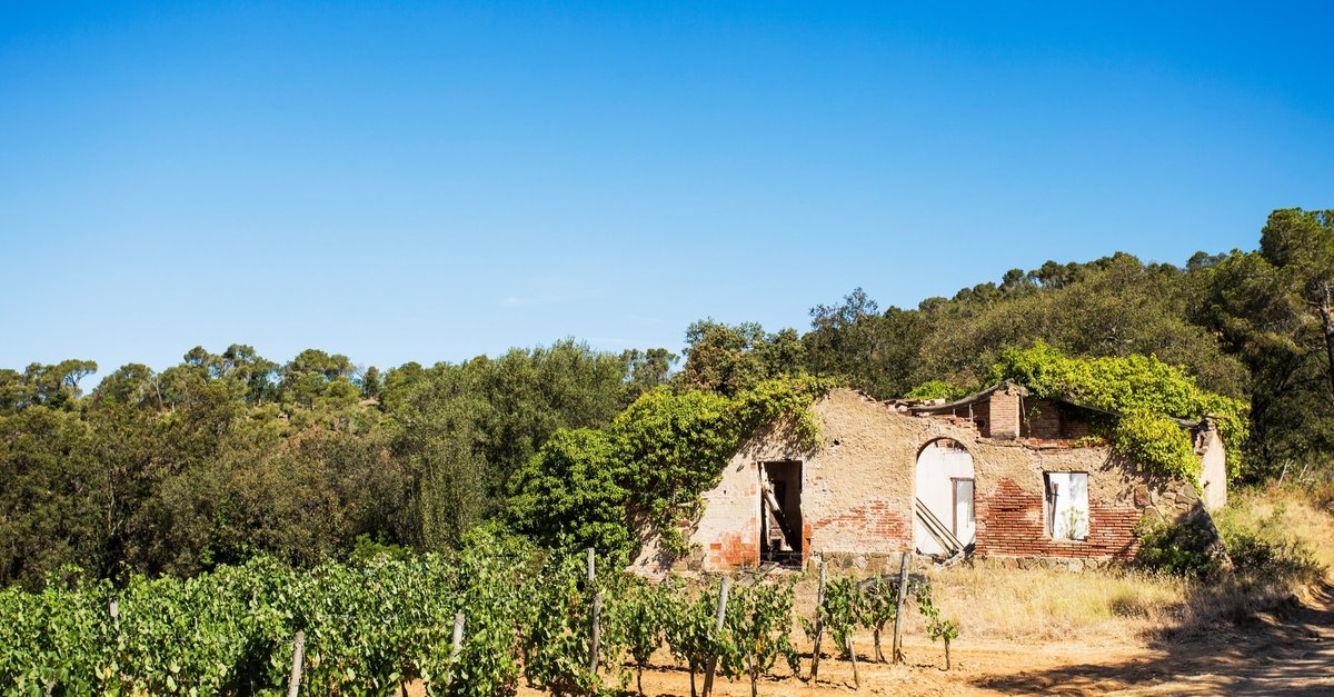 Svaigs un mazzināms galamērķis vīna tūrismā – Empordā reģions Spānijā