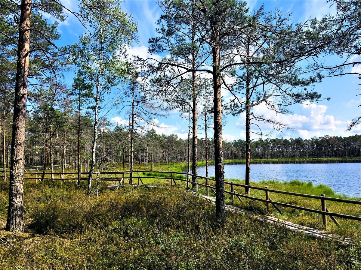 10 skaistas purva takas rudens baudīšanai
