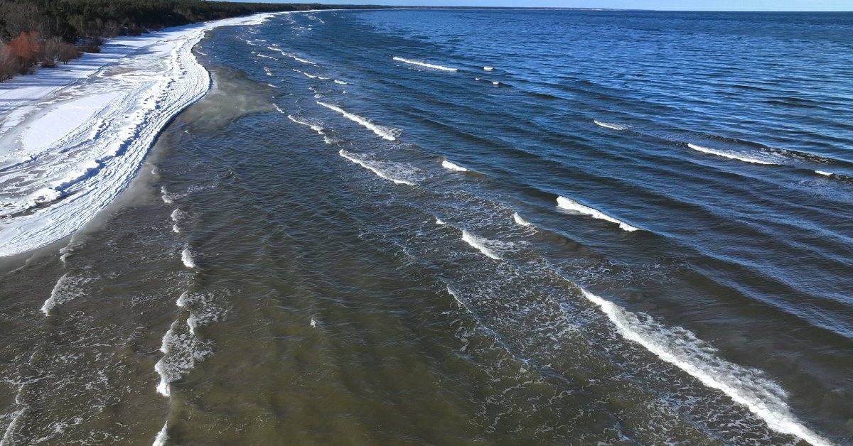 Второй конец поврежденного подводного кабеля LVRTC извлечен из ...