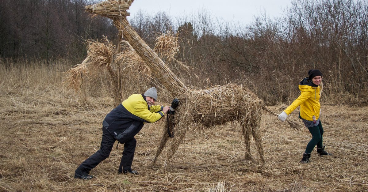 Foto: Neparastās niedru skulptūras dabas liegumā 'Randu pļavas'