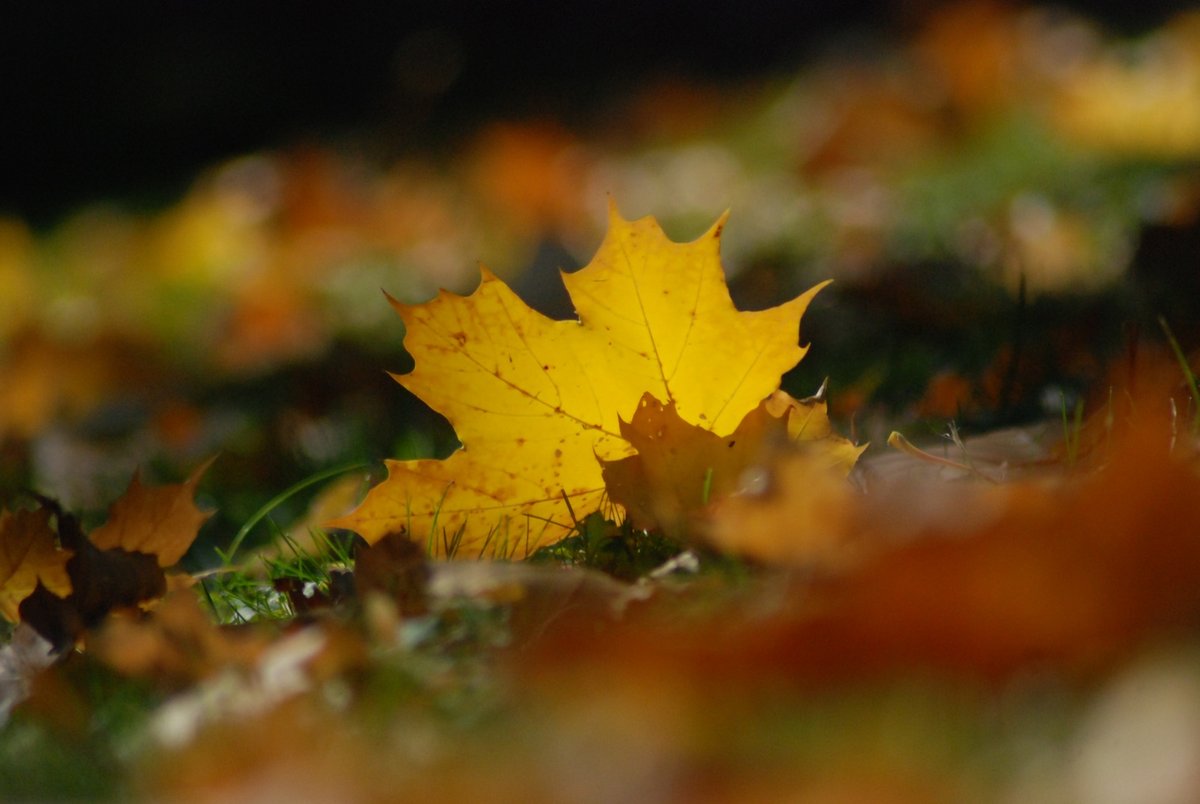 Svētdien sākas astronomiskais rudens