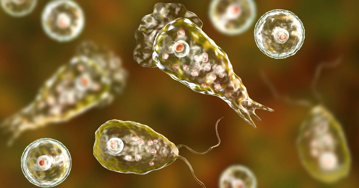 Pusaudzis Indijā peldas piesārņotā ūdenī un nomirst no smadzenes ēdošām ...