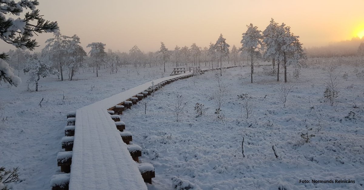 Dabas liegumā 'Lielie Kangari' izveidota jauna pastaigu taka un skatu ...