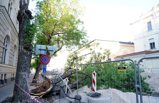 Vējš plosa Latviju – VUGD 117 izsaukumi uz postījumu likvidēšanas darbiem