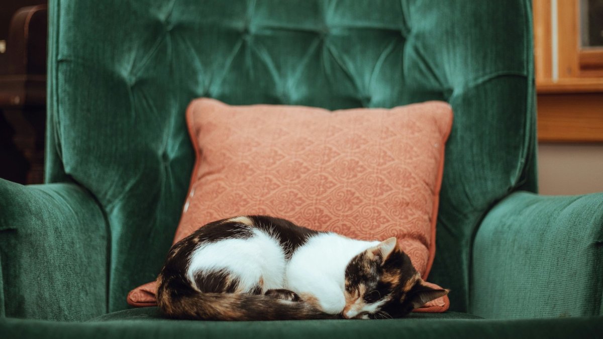 Perfektā diendusa jeb svarīgākie nosacījumi maksimāli efektīvam miegam