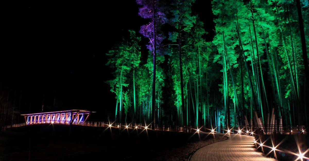 Tērvetes dabas parks izgaismots krāšņās svētku gaismās