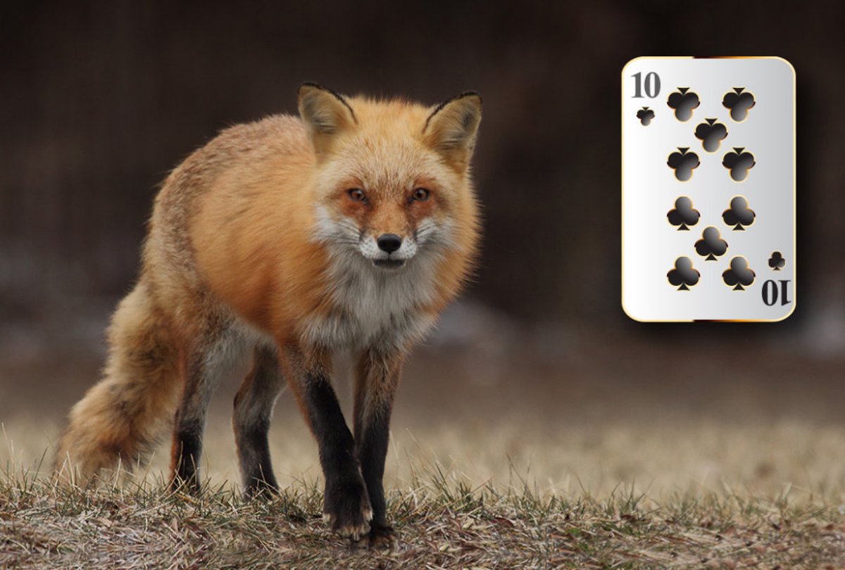 16. augusta jubilārs – kreiča desmitnieks