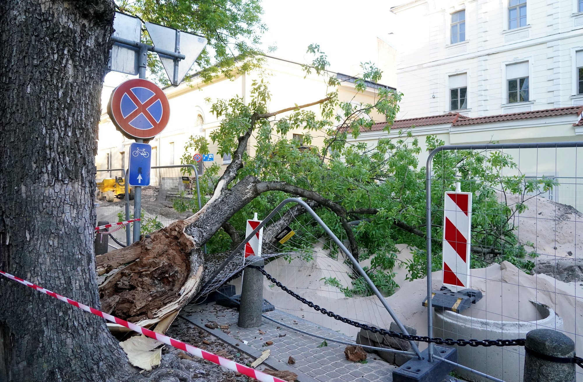 Vējš plosa Latviju – VUGD 117 izsaukumi uz postījumu likvidēšanas darbiem