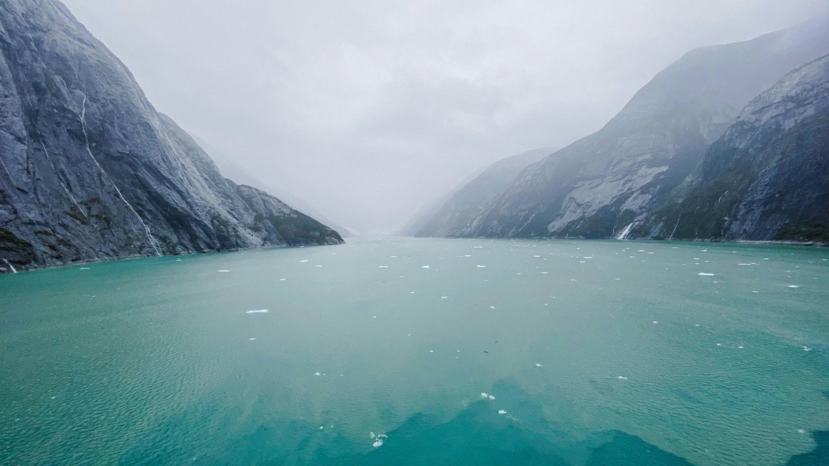 Negaidīts pavērsiens – 70 gadus muzejā glabāti mamuta kauli samulsina ...