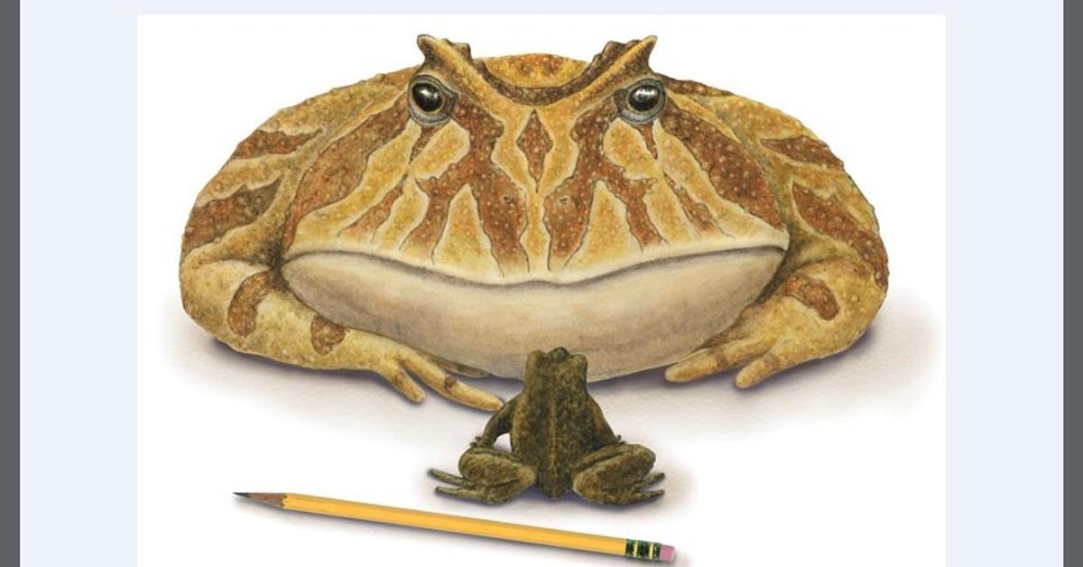 Kā izskatījās lielākais krupis Zemes vēsturē