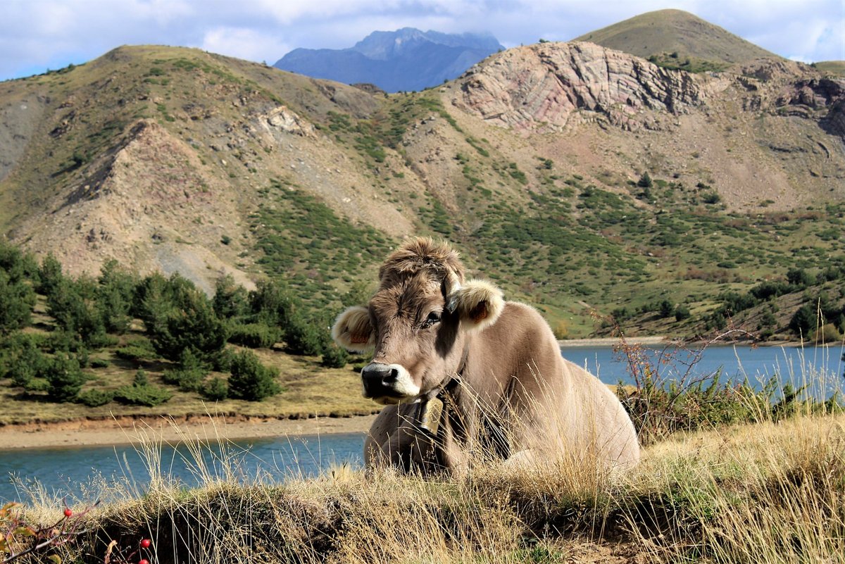 Ziemas izklaides vasarā, garākais trošu ceļš Eiropā un ne tikai ...