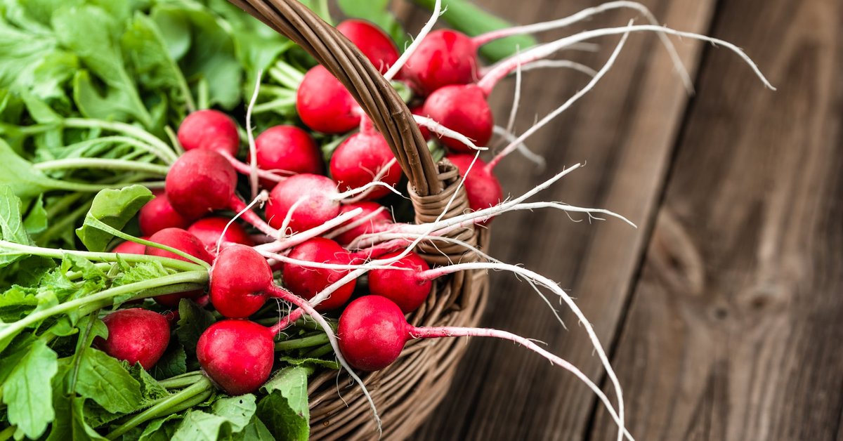 Diētiskais uzturvielu avots – redīss. Kā tas ietekmē veselību un kāpēc ...