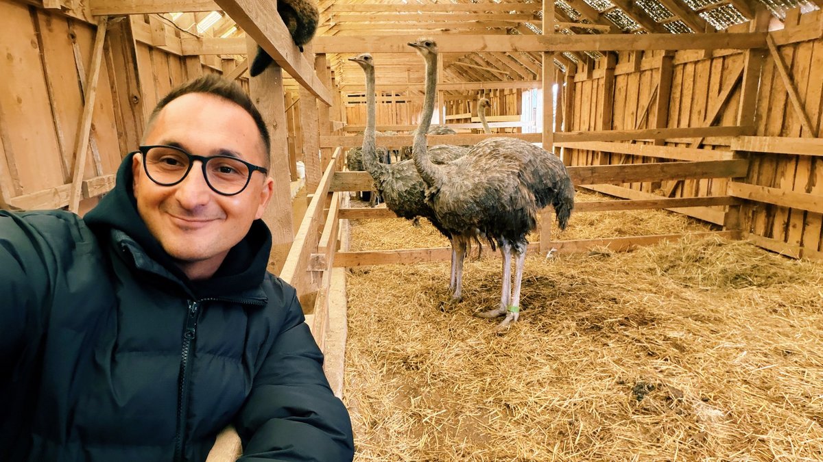 Strausa steiki un kazas kebabi – kas vilina Baltijas tūristus uz nomaļu ...