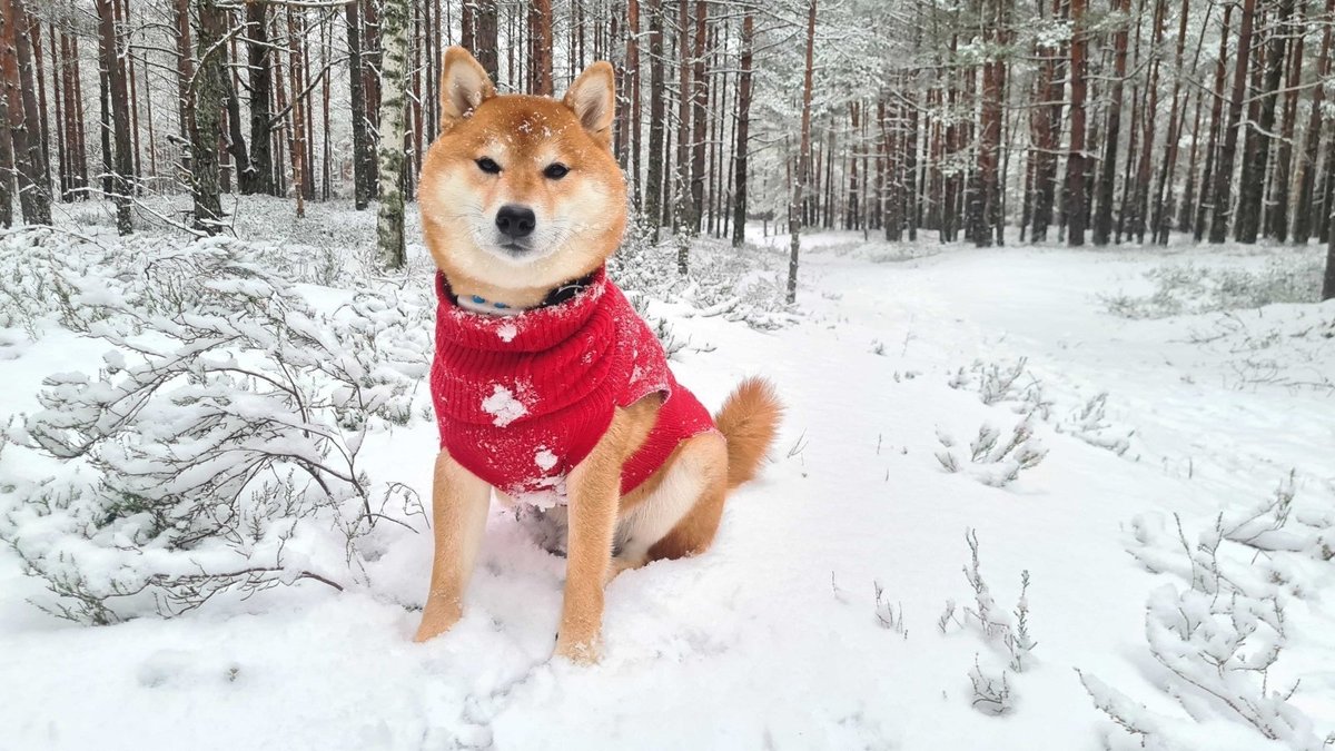 Piektdien gaidāms lietus, slapjš sniegs un atkala