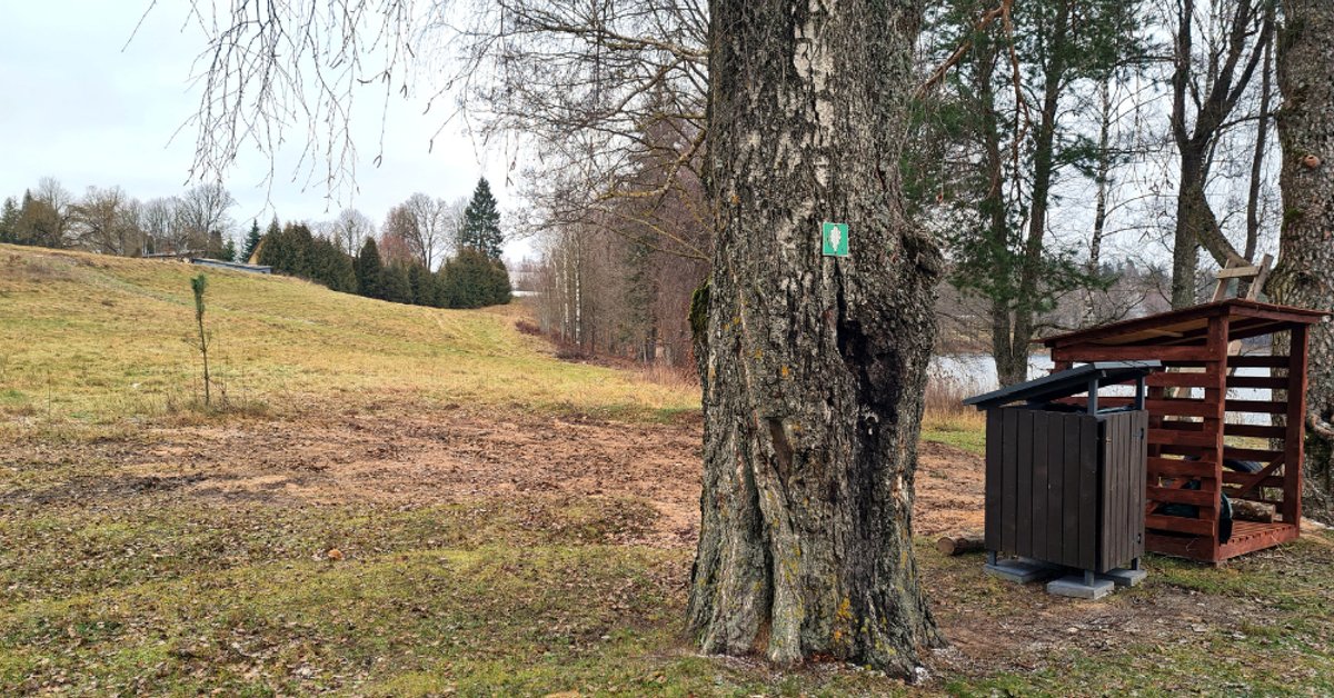 Video: Jēkabpils novadā neatļautā vietā izbūvē tualeti